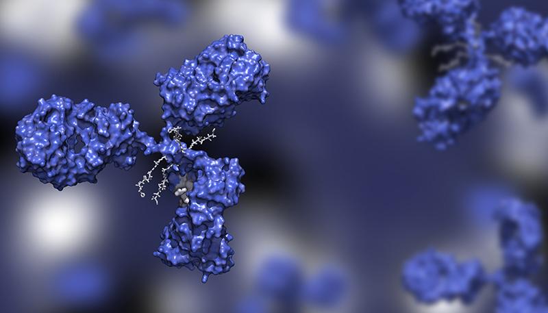 新たながん治療薬 「ADC」（抗体薬物複合体）とは？特徴や問題点を解説【医師向け】｜医師向け情報メディア「ドクタービジョン＋」